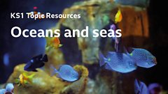 KS1 Geography resources - Oceans and seas - BBC Teach