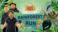 One Zoo Three: Rainforest Run Game | Free educational and fun children ...