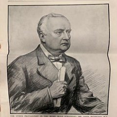 KS3 Environment and Society - History - Home Rule and Nationalists ...