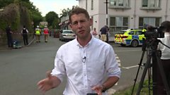 Wimbledon school: Girl, 8, dies after car crashes into building - BBC News
