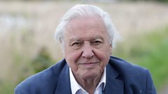 9 facts about David Attenborough that have shaped your world - BBC Teach