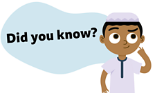 Doubles - Maths - Learning with BBC Bitesize