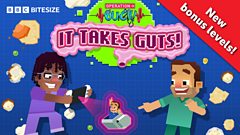 BBC Bitesize KS2 Summer Holiday Pack | Week 4 | Age 7-11 - BBC Bitesize