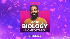 Podcasts - GCSE Combined Science - BBC Bitesize