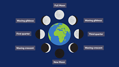 Phases of the Moon - BBC Bitesize