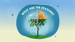 Seasons: What causes the seasons? - BBC Teach