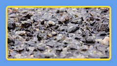 Types of rock – KS2 Science curriculum - BBC Bitesize