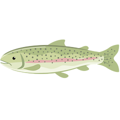 What are fish? KS1 Science curriculum - BBC Bitesize