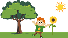 Wild and garden plants – KS1 Science curriculum - BBC Bitesize