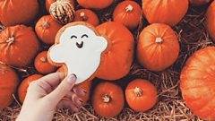 Can you ace this cracking 5th November quiz? - BBC Bitesize