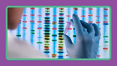 What is science? – KS1 Science curriculum - BBC Bitesize