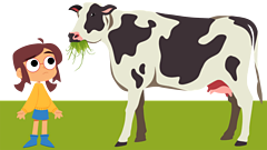What do animals eat? - KS1 Science curriculum - BBC Bitesize