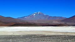 Meet the animals that live in the most extreme environments - BBC Bitesize