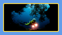 How does the eye detect light? – KS2 Science curriculum - BBC Bitesize