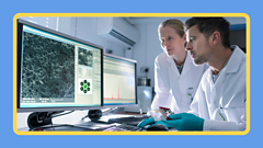 How do scientists use their findings? – KS2 Science curriculum - BBC ...