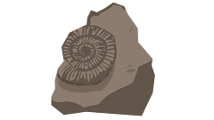 Fossils – KS2 Science curriculum - BBC Bitesize