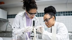 What is mitosis? GCSE biology interactive revision - WJEC - BBC Bitesize