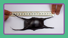 How to use scientific equipment – KS2 Science curriculum - BBC Bitesize