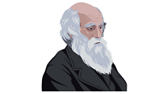 What is evolution? – KS2 Science curriculum - BBC Bitesize