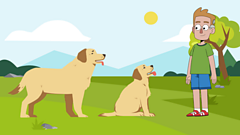 Evolution and inheritance - KS2 Science - BBC Bitesize