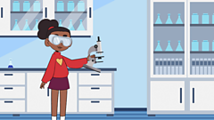 Planning experiments and variables – KS2 Science curriculum - BBC Bitesize