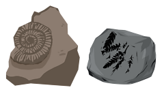 What can fossils tell us? – KS2 Science curriculum - BBC Bitesize