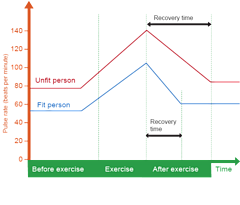 What is the role of the circulatory system ? - BBC Bitesize