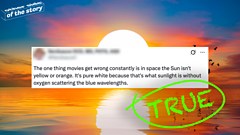 Surprising facts you never knew about the Sun - BBC Bitesize