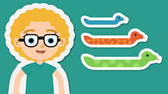 Number - KS1 Mathematics and Numeracy - BBC Bitesize