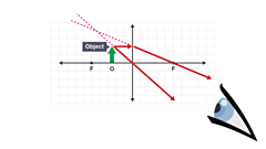What are the different types of lenses? - BBC Bitesize
