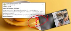 Spilling the tea on the truth about tea - International Tea Day - BBC ...