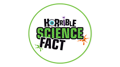 Bitesize Horrible Science: Women of Science - BBC Bitesize