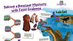Walking With Dinosaurs – Live Lesson - BBC Teach