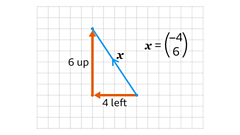 What is a vector? - BBC Bitesize
