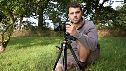 BBC One - The Great British Year, Original Series - Tim Shepherd