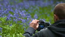 BBC One - The Great British Year, Original Series - Tim Shepherd