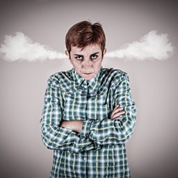 BBC Radio 4 - Bearing Grudges - How to bear a grudge