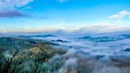 BBC - Pic of the Season Autumn 2021