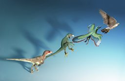 BBC Radio 4 - Radio 4 in Four - How did evolution turn a dinosaur into ...