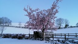 BBC - Pic of the Season - Spring 2022