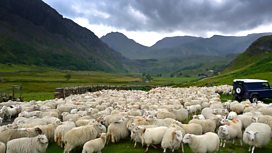 BBC - Cymru - Hafan