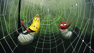 BBC iPlayer - S4C Guide - Tue Aug 16 2022