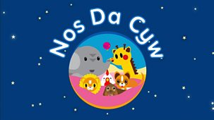 S4C Guide - Fri Dec 19 2025 - BBC iPlayer