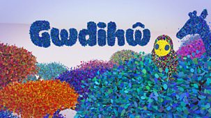 S4C Guide - Tue Aug 27 2024 - BBC iPlayer