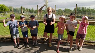 BBC iPlayer - S4C Guide - Fri Jun 07 2024