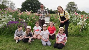 BBC iPlayer - S4C Guide - Fri Jun 07 2024