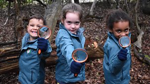 CBeebies Guide - Sat Dec 27 2025 - BBC iPlayer