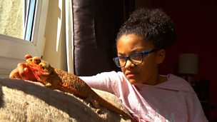 BBC iPlayer - CBeebies ALBA