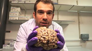 Operation Ouch! - Series 1: Episode 2 - BBC iPlayer