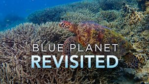 Science & Nature - Featured - BBC iPlayer